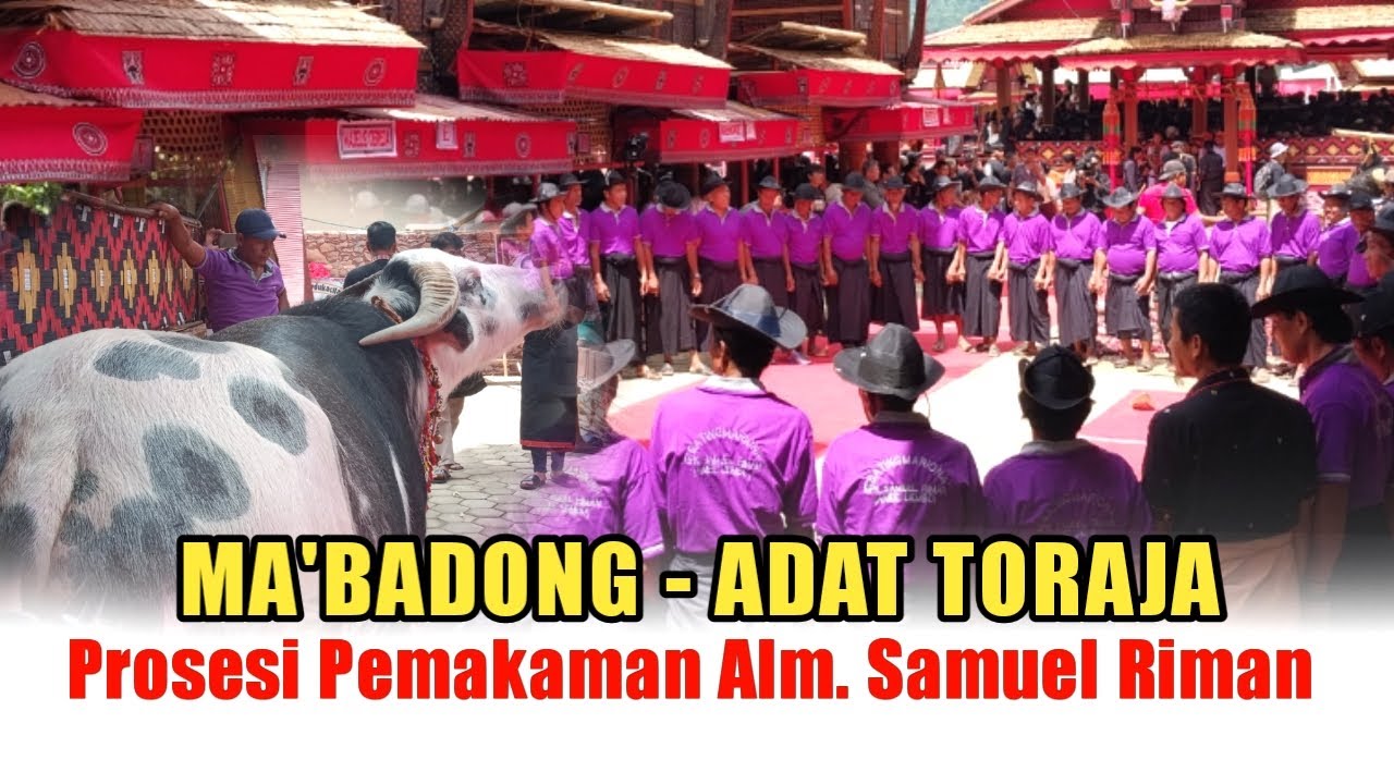 MA'BADONG || ACARA ADAT TORAJA || PROSESI PEMAKAMAN ALM. SAMUEL RIMAN ...