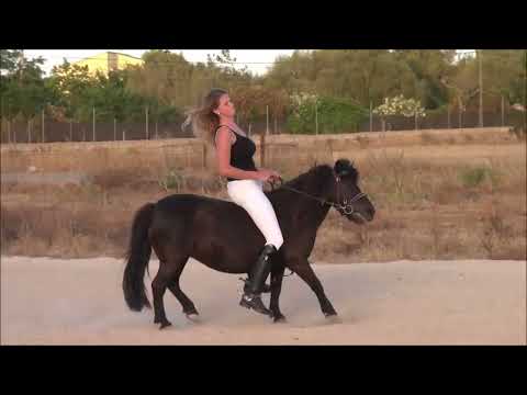 Pony Riding #ponyriding #donkeyriding  #esel #reiten #sheepriding #goatriding