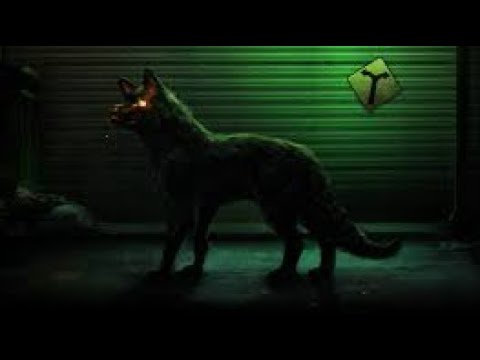 Scp 023 - YouTube