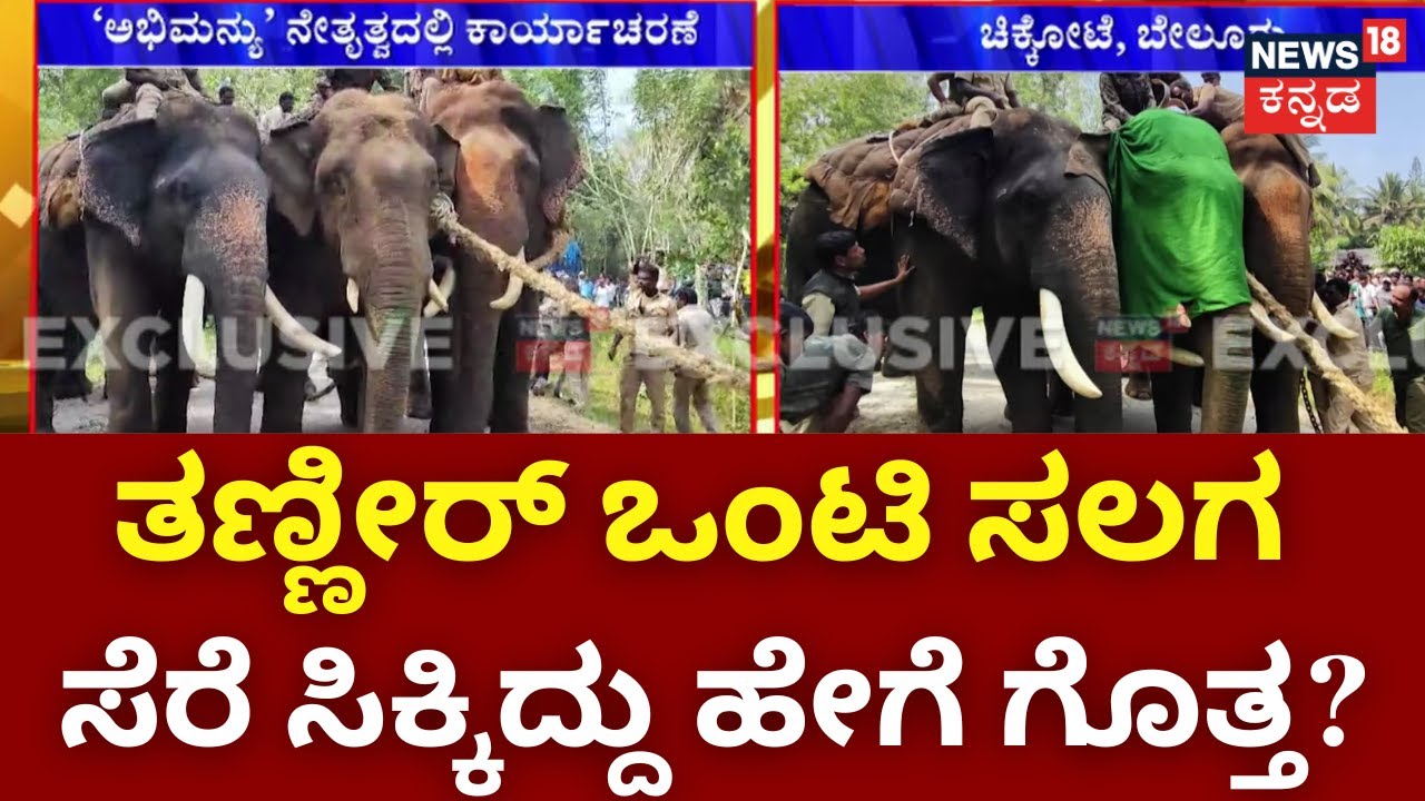Operation Wild Elephant | ಹಾಸನದಲ್ಲಿ ಮತ್ತೊಂದು ಒಂಟಿಸಲಗ ಸೆರೆಹಿಡಿದ ಸಿಬ್ಬಂದಿ ...