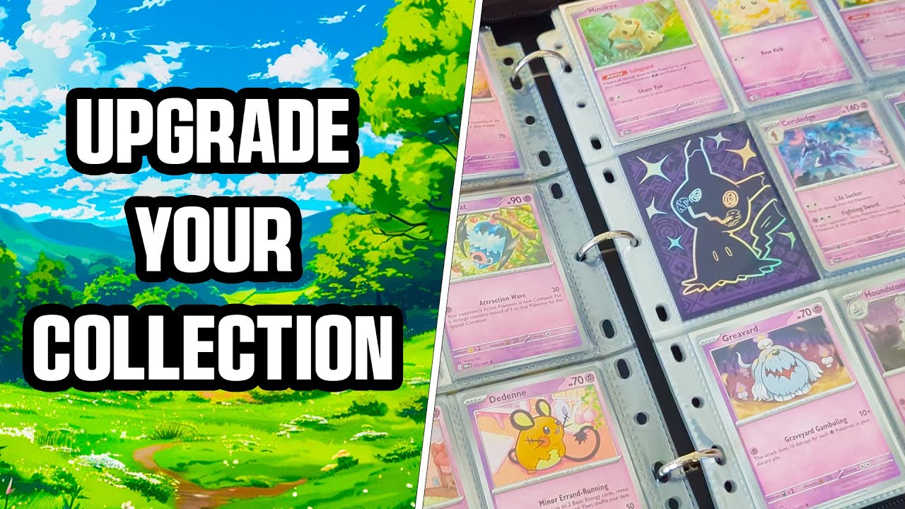 How to organize your Pokémon Collection - YouTube
