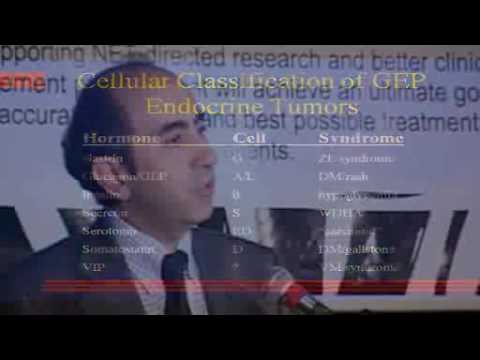 Toronto 2009 - Cancer Genetics and Predisposition to Disease - Dr. Shereen Ezzat - YouTube