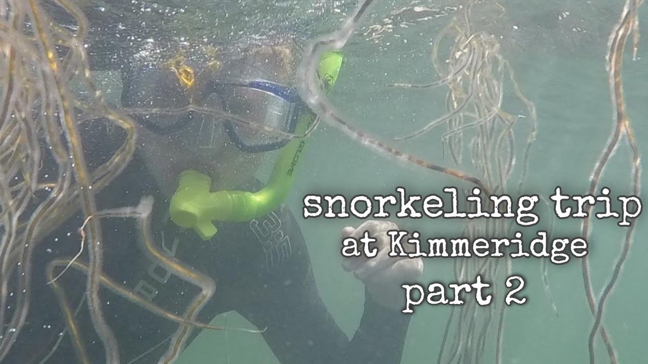 Snorkeling at Kimmeridge bay - YouTube