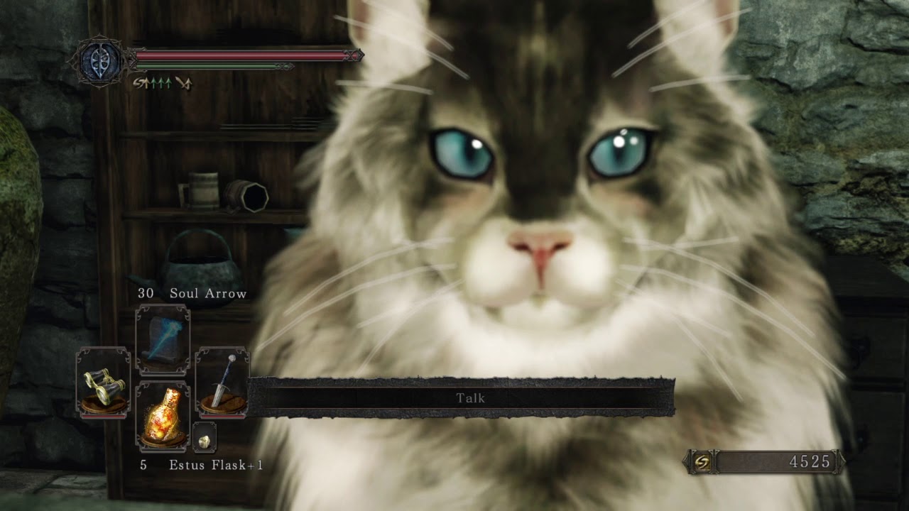 DARK SOULS™ II: Scholar of the First Sin cat up close - YouTube