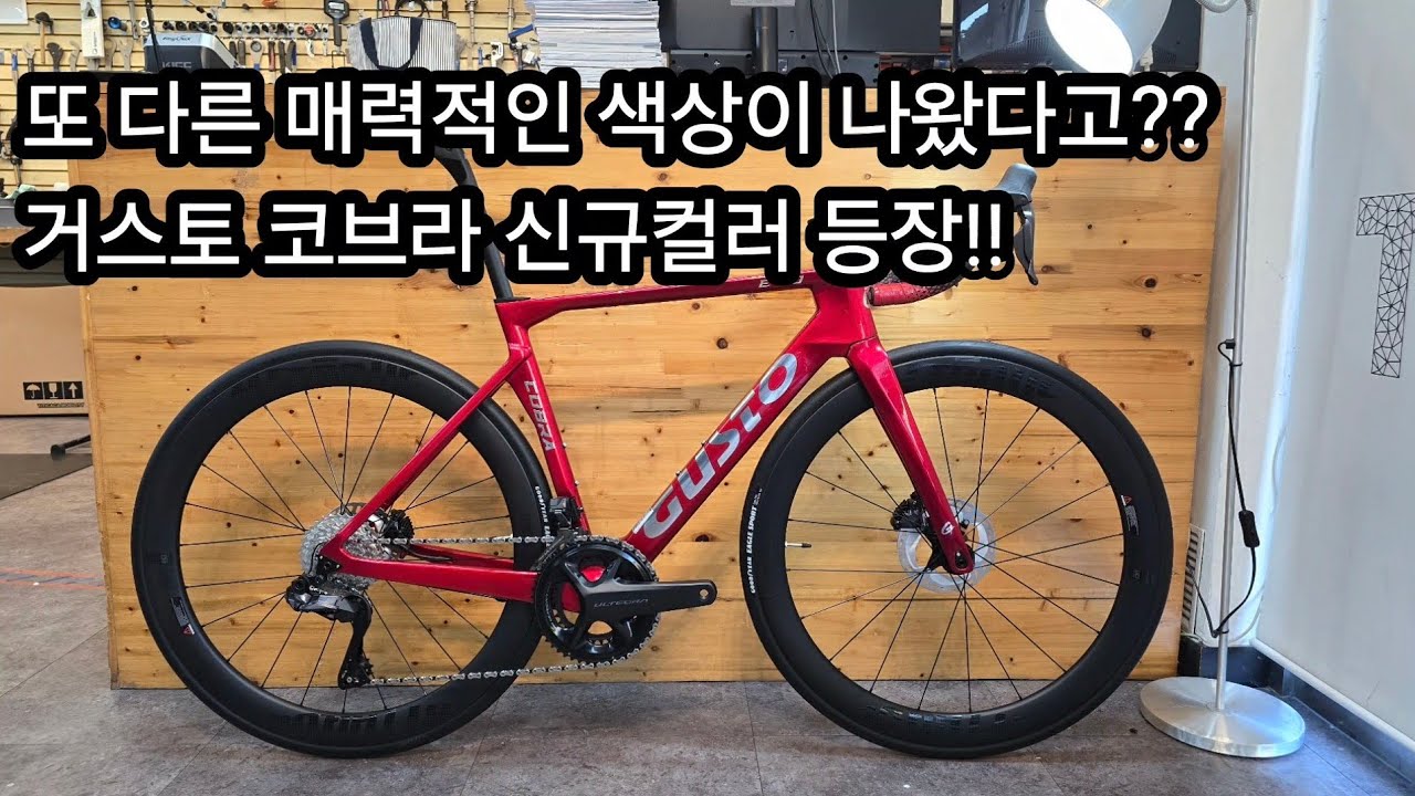 또 다른 매력적인 색상 거스토 코브라 신규컬러 레드컬러 등장 자전거 로드자전거 로드추천 카본로드 카본자전거 거스토