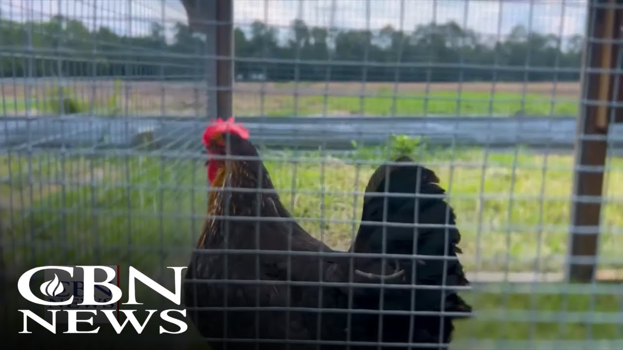 Restoring America's Soil: How Regenerative Farmers are Transforming ...