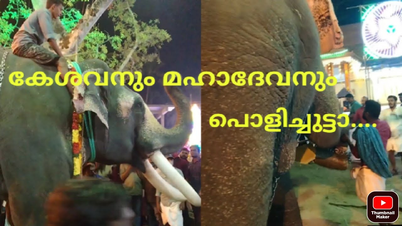 Uttoly Mahadevan l Puthuppally Keshavan ഉട്ടോളി മഹാദേവനും പുതുപ്പള്ളി ...