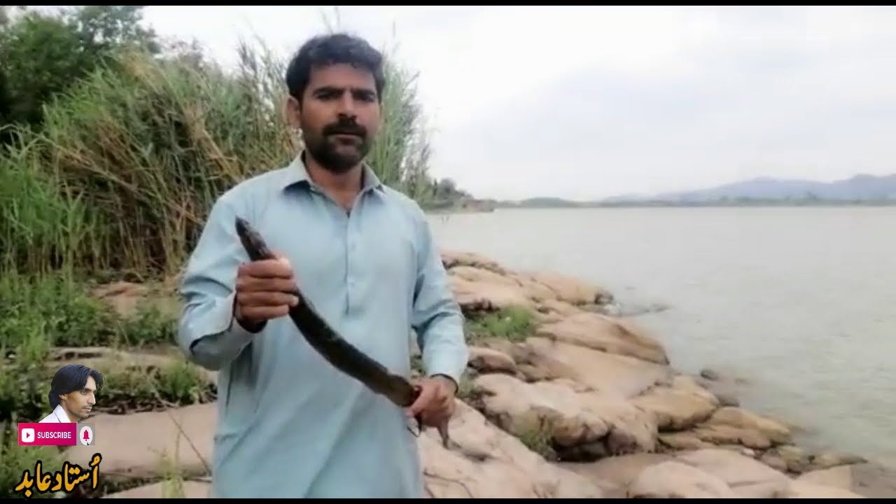 bam machhali big bam fish baam fishing video angler master - YouTube