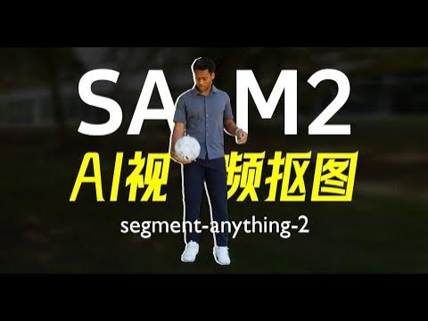 SAM2（segment anything 2） - YouTube