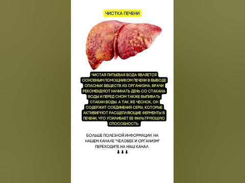 Чистка печени, как очистить печень? Как почистить печень в домашних ...