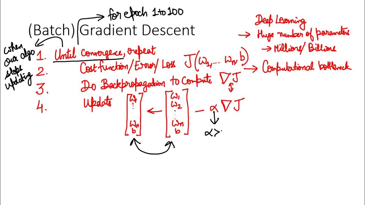 Introduction to Gradient Descent (In Hindi) - YouTube