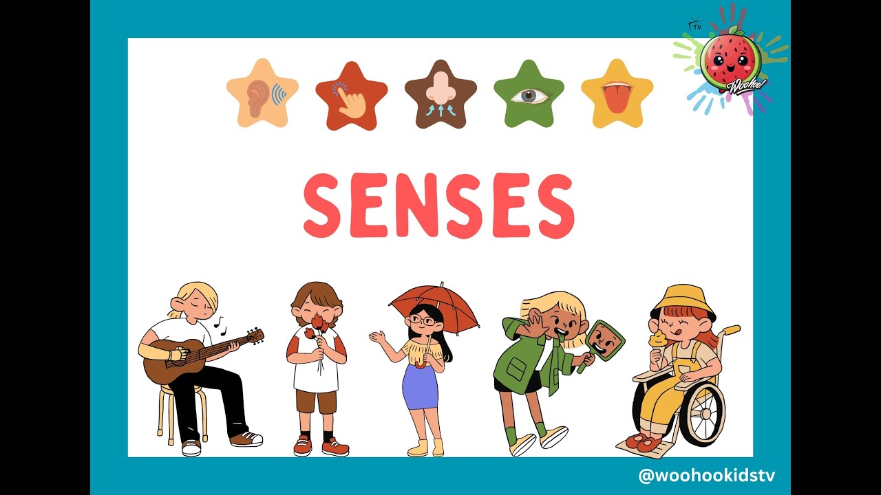 Five Senses | The Five Senses | Five Senses Song - Human Sensory Organs ...