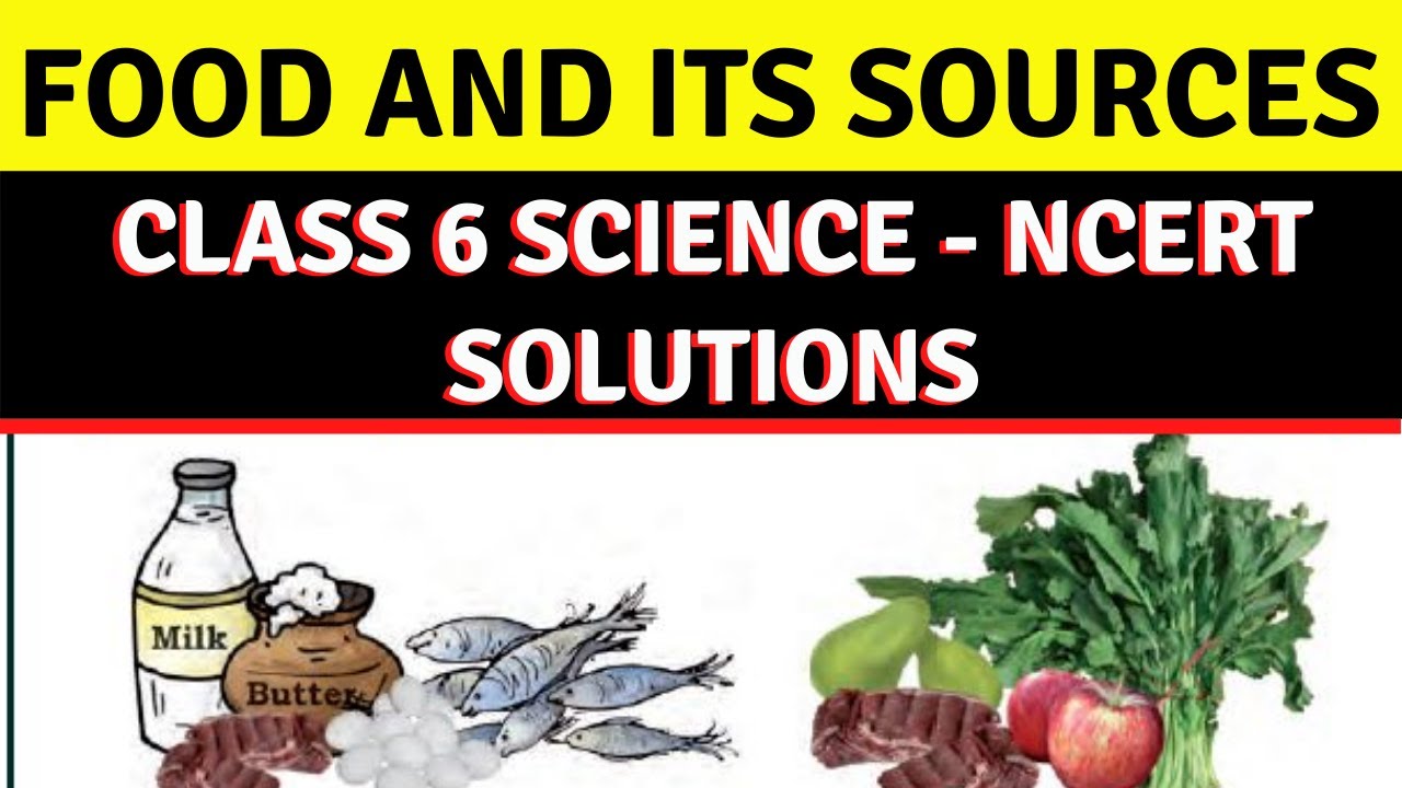 Food And Its Sources Class 6 In Hindi Class 6 Chapter 1 Of NCERT 6th food-and-its-sources-class-6-in-hindi-class-6-chapter-1-of-ncert-6th