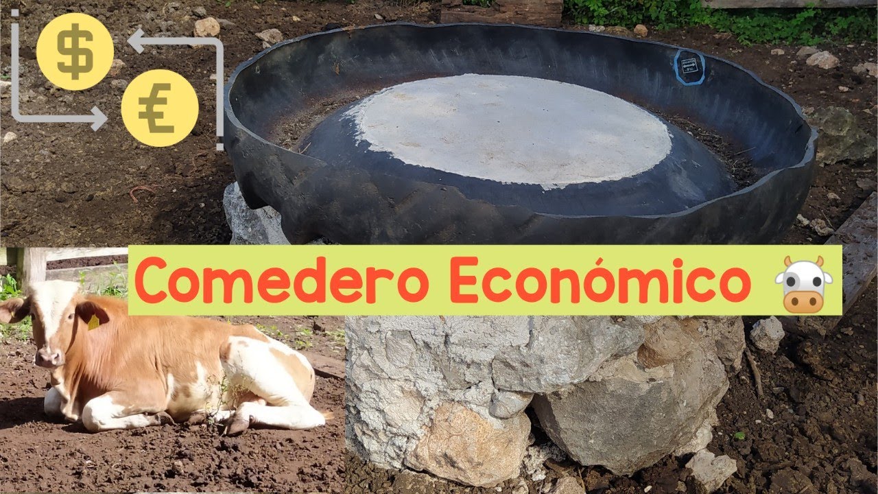 Comedero para Ganado Económico 💵💵💵// Práctico y muy sencillo de ...