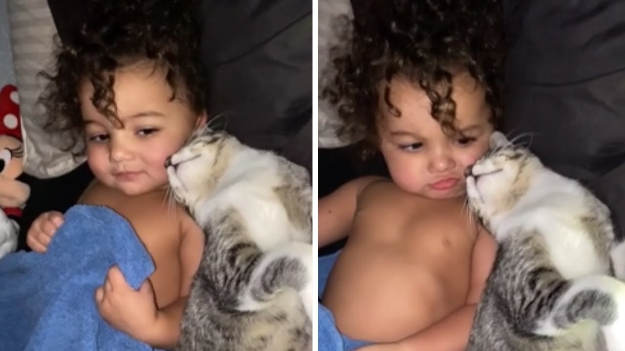 Cat preciously cuddles with toddler for bedtime - YouTube
