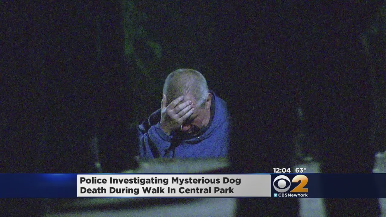 What Killed Duke The Dog? - YouTube