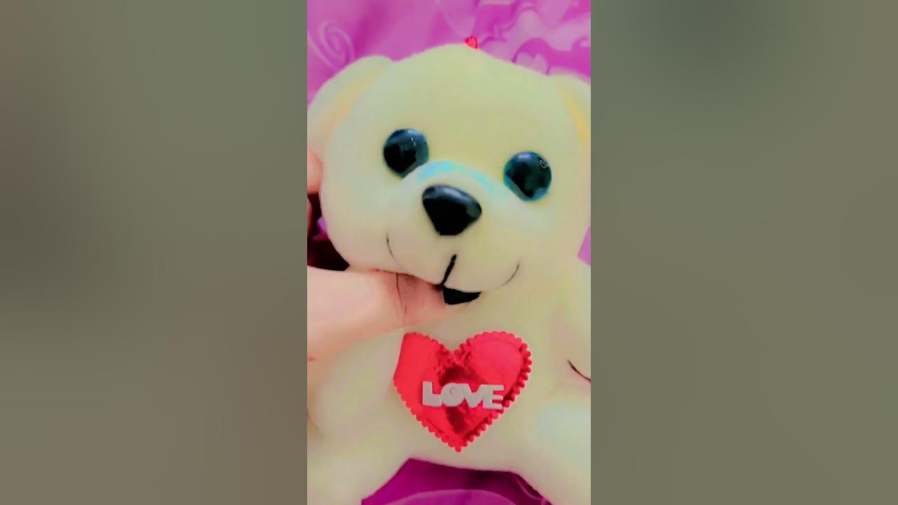 Happy teddy day #teddy day special - YouTube