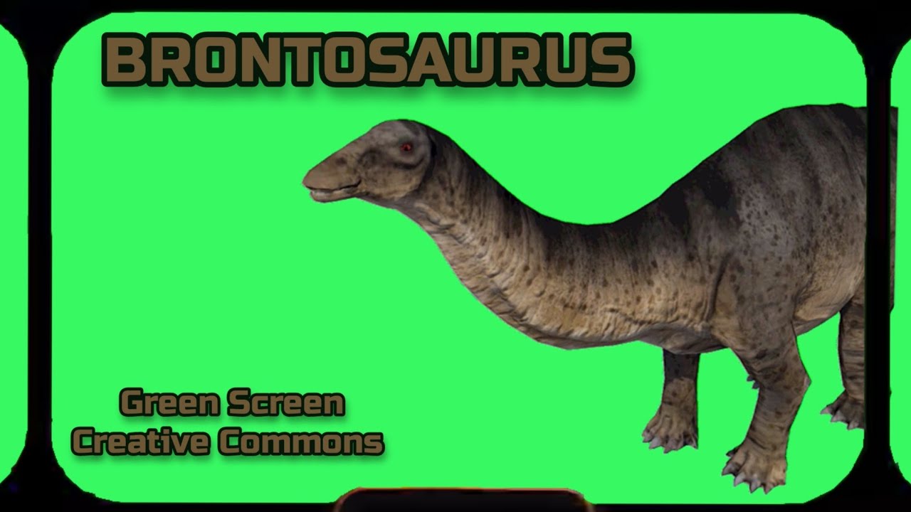 BRONTOSAURUS dinosaur video on a green screen. Footage animation on a ...