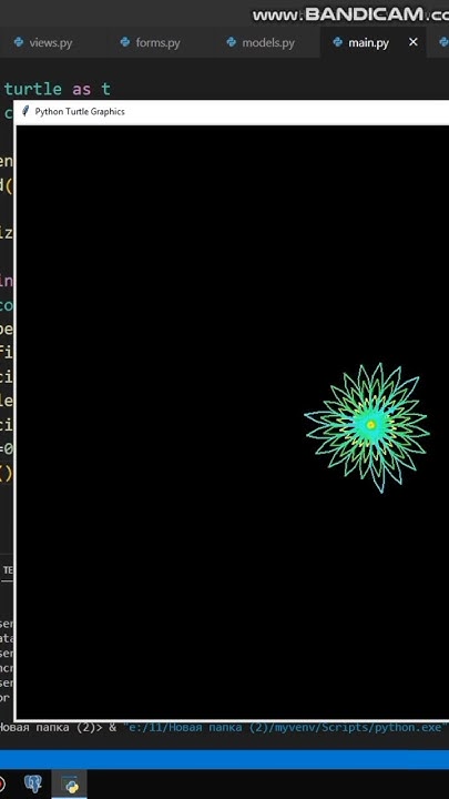 turtle in python 2 - YouTube