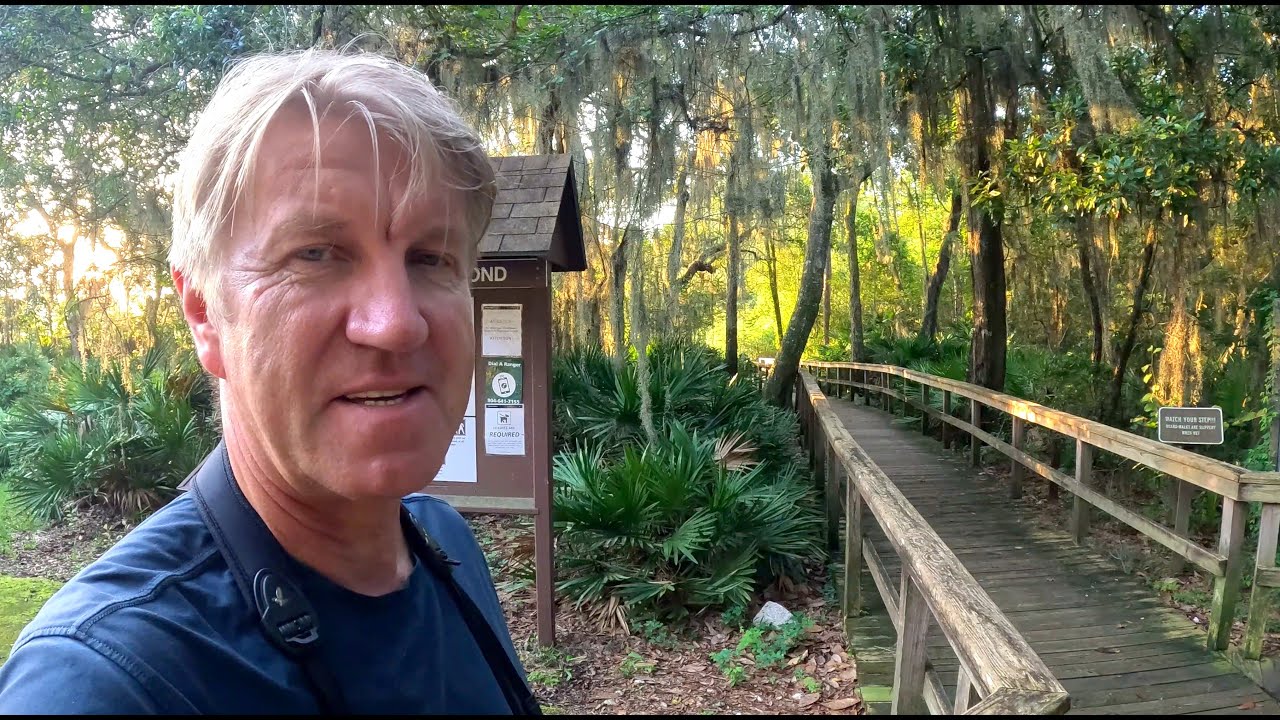 Spanish Pond Sunrise: A Birdwatching Adventure Through Nature's Beauty ...