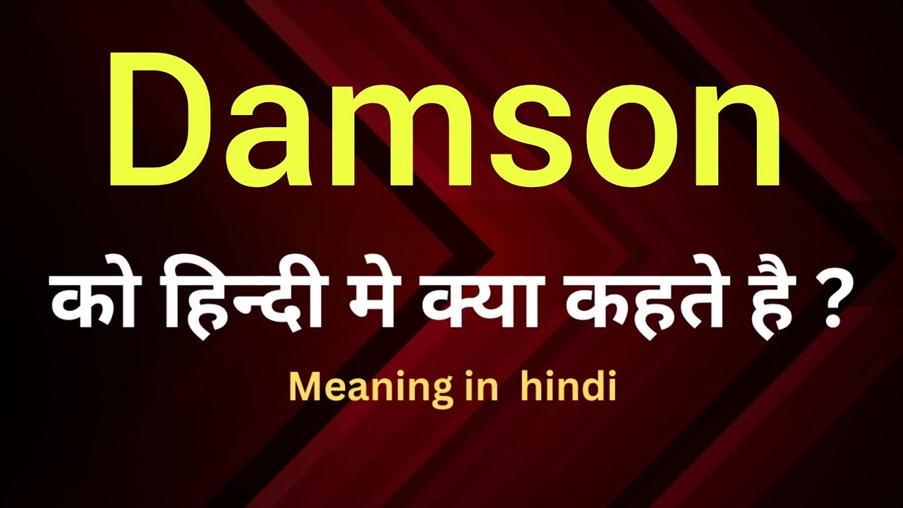 Damson meaning in hindi || damson ka matlab kya hota hai || word ...