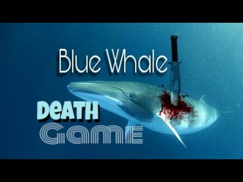 Blue Whale | Suicide Game |Very Dangerous, Mystery(part-1) - YouTube