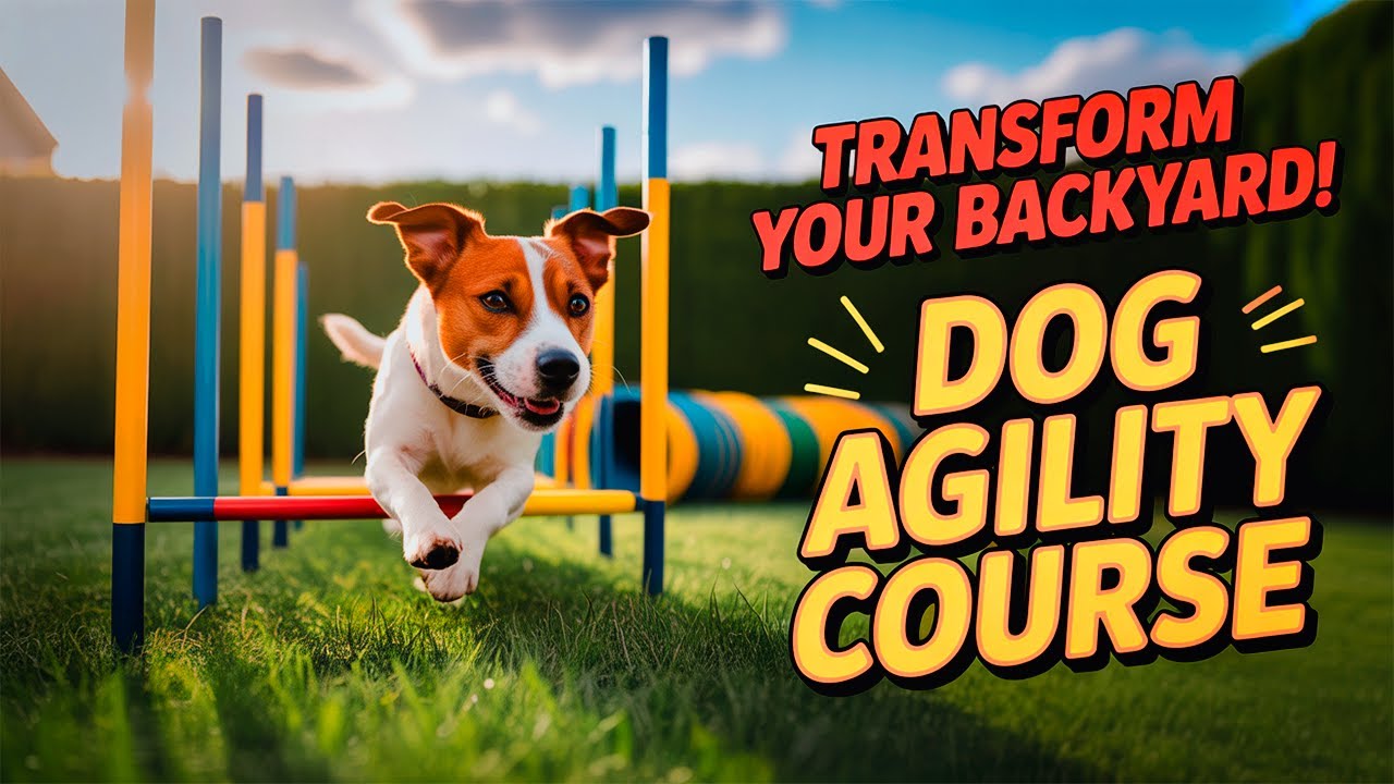 Build a Dog Agility Course – Top Tunnels and Equipment for Backyard ...
