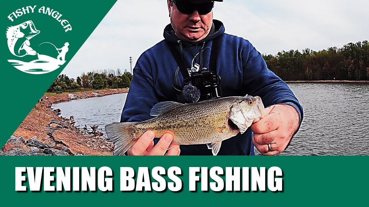 Evening bank fishing between rainy days. Keeping myself sane... - YouTube