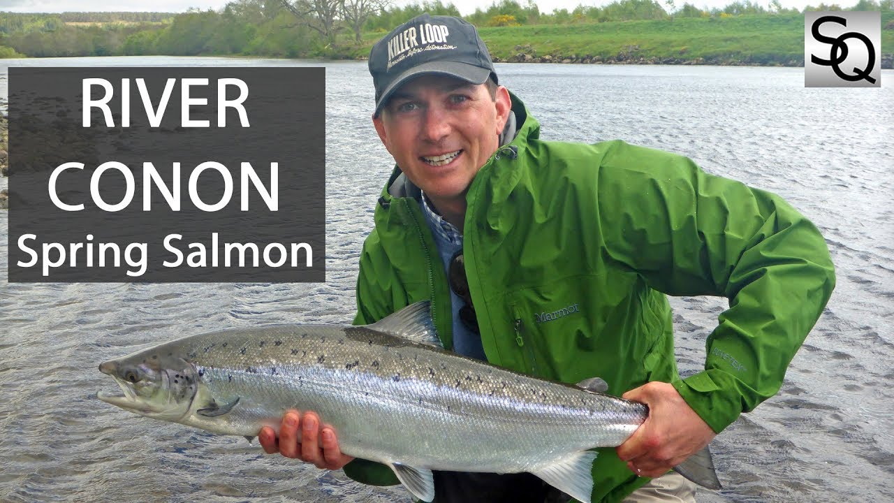 Salmon Fishing in Scotland - Brahan, River Conon Springer - YouTube