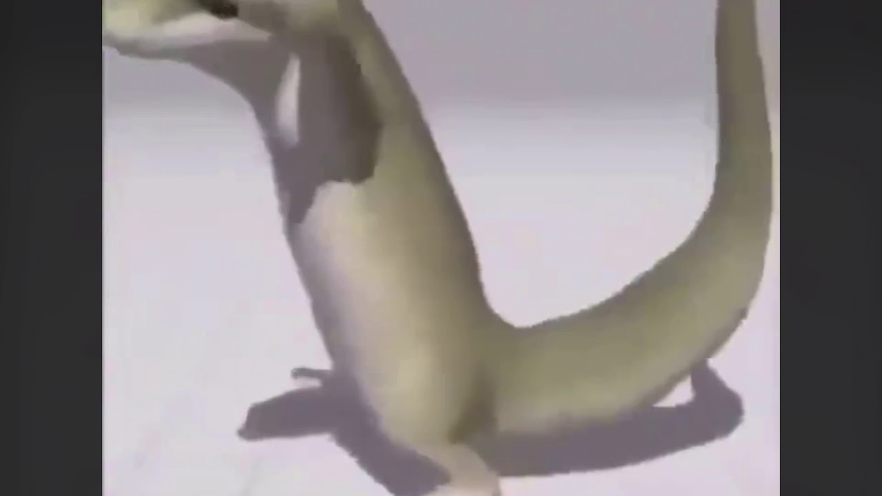Dancing Lizard - YouTube