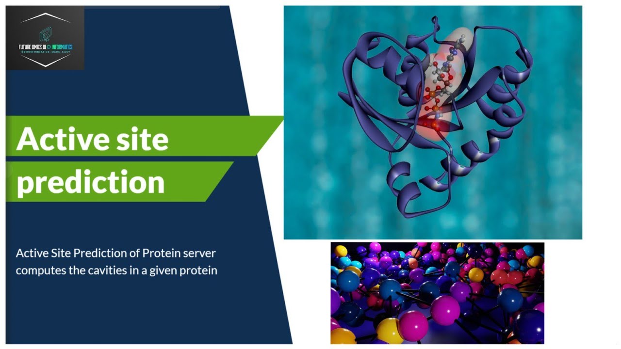 Active site prediction #bioinformatics #proteomics - YouTube