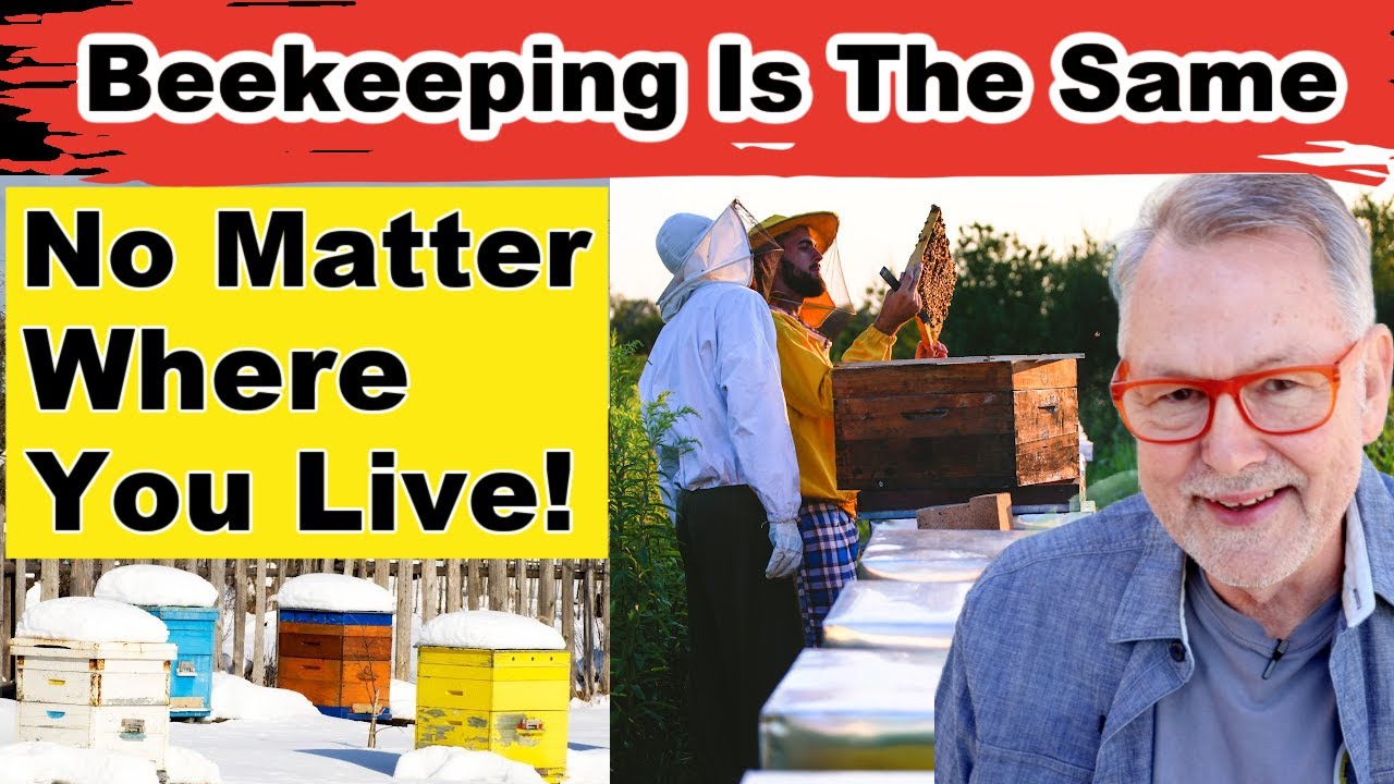 Beekeeping Is NOT Different Based On Where You Live - YouTube