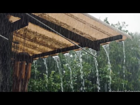 Dumanlı Meşədə Damın Ətrafında Güclü Yağış, Güclü Külək və İldırım Səsləri ilə Yuxusuzluğa qalib