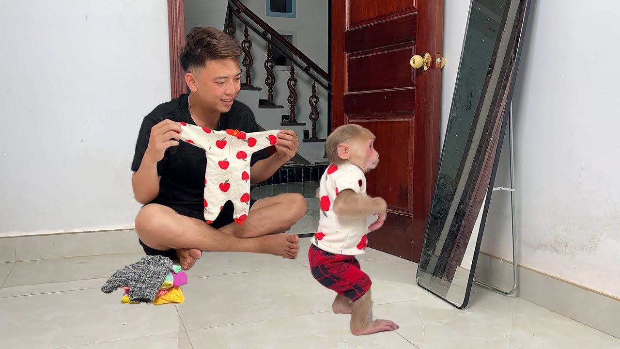 So sweet 😍! Monkey Luk happy to receive new clothes from dad - YouTube