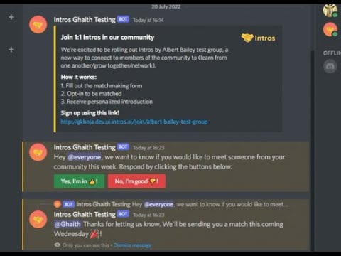 Intros AI: Discord Product Overview - YouTube
