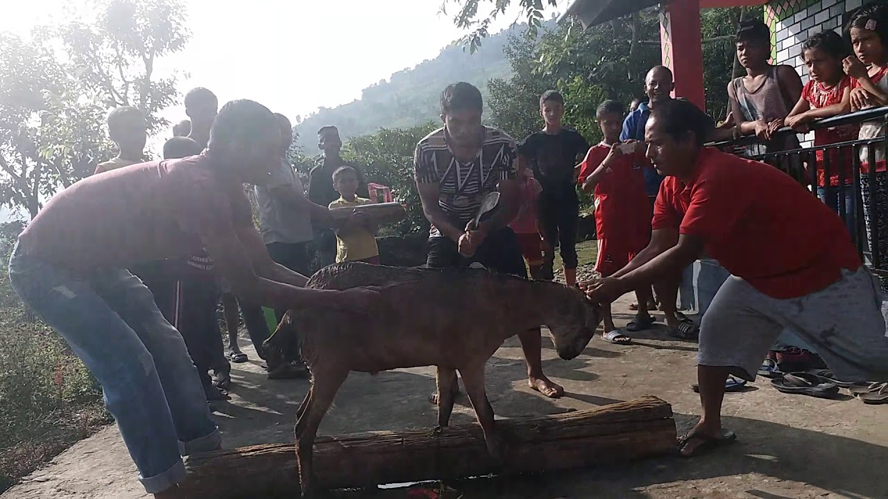 Dashain maa khasi kateko - YouTube