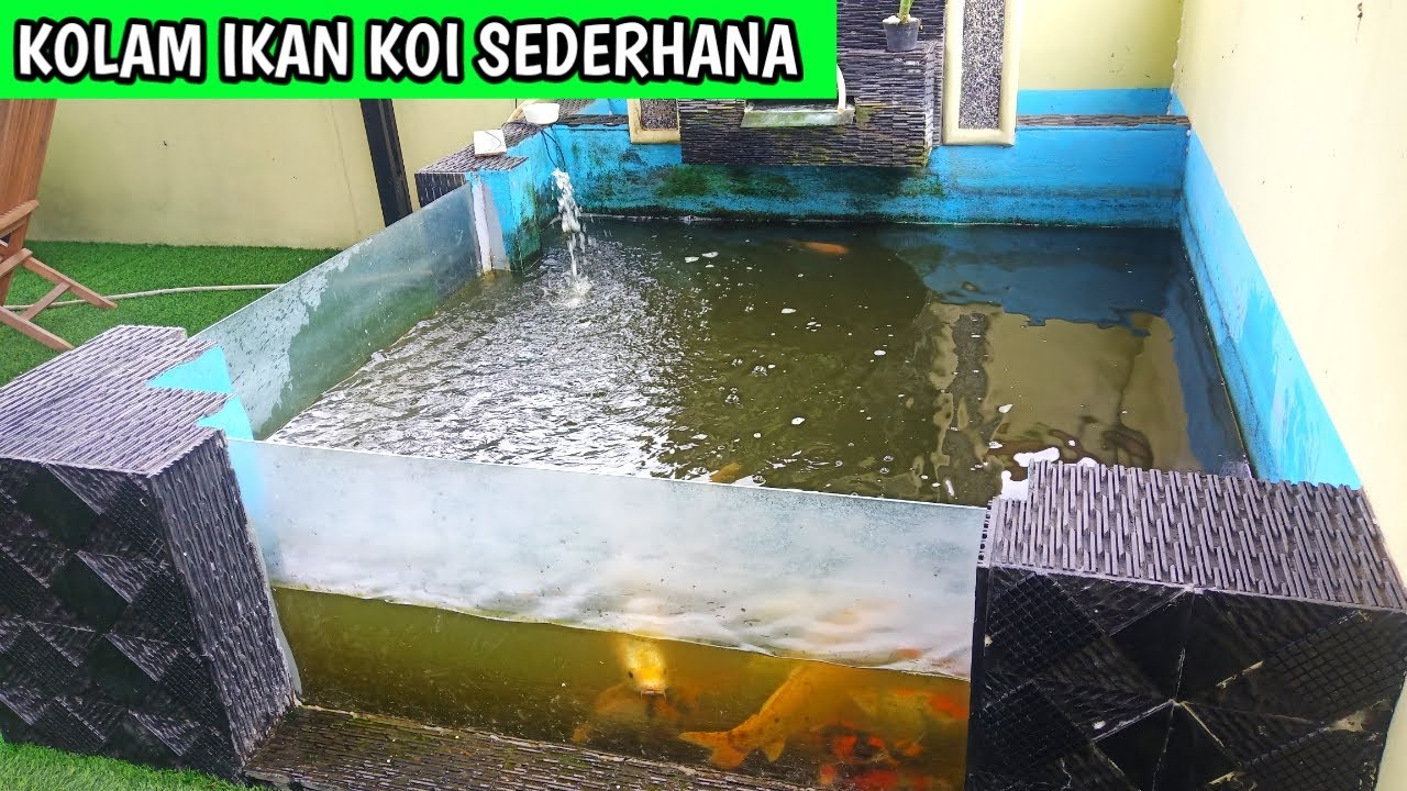 Contoh kolam ikan koi - YouTube