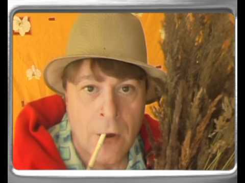 Виктор Королёв Шумел камыш