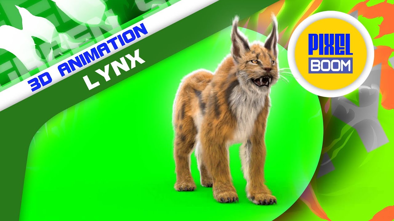 Green Screen Lynx Feline 3D Animation - PixelBoom - YouTube