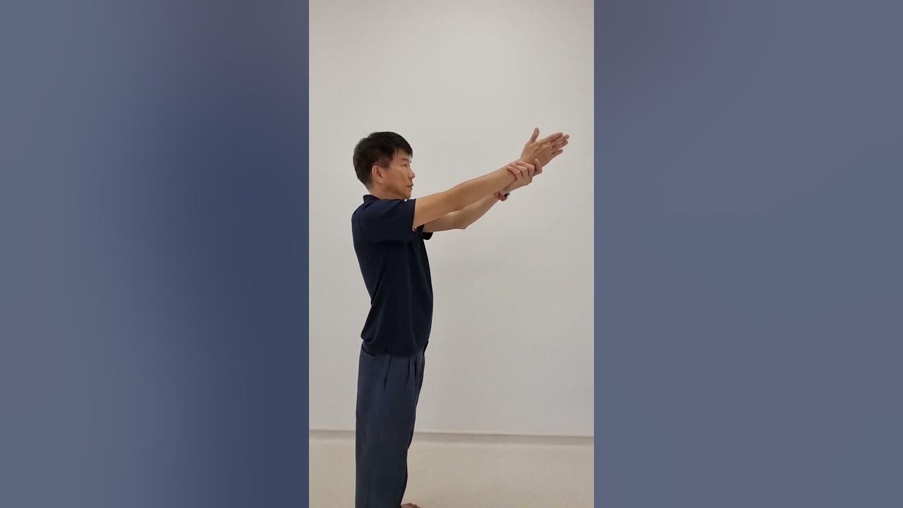 Active Assisted Shoulder Flexion Youtube