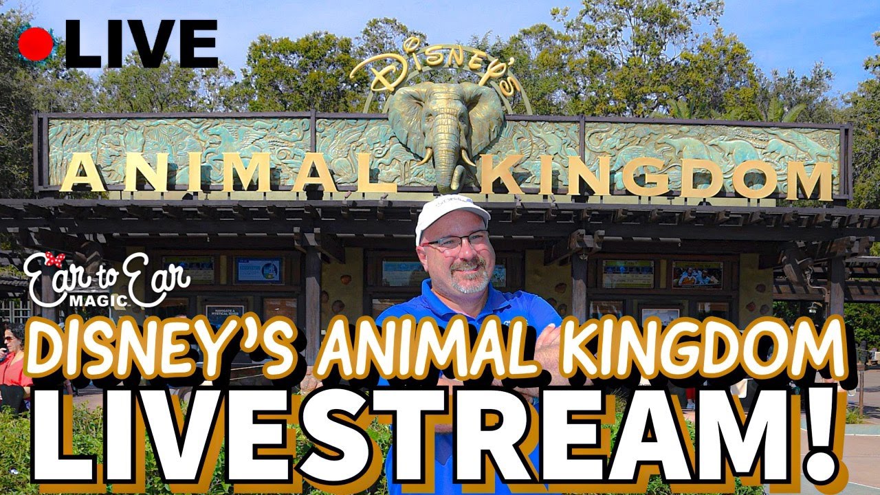LIVE Disney s Animal Kingdom Wild Wednesday Livestream 1 25 23 live-disney-s-animal-kingdom-wild-wednesday-livestream-1-25-23