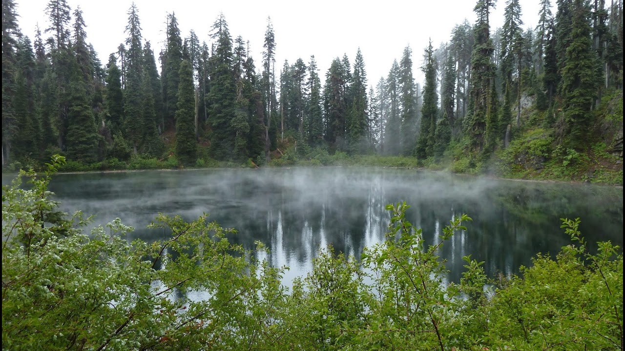 The Nature Channel Live Stream - YouTube