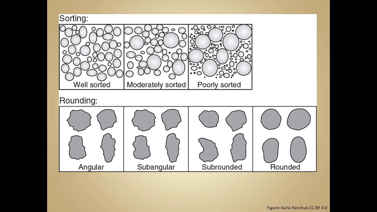 Sedimentary Rocks Grain Size YouTube sedimentary-rocks-grain-size-youtube