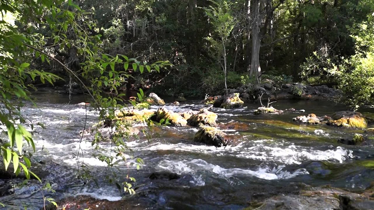 Class II Rapids on the Hillsborough River - YouTube