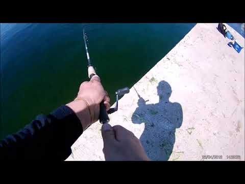 Lrf ve micro jig ile güzel bir zargana avı