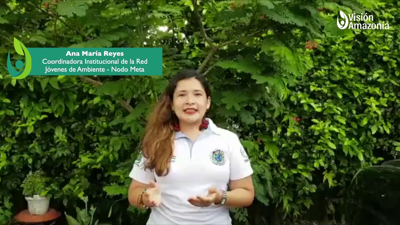 Jóvenes de Ambiente en la Mesa Forestal del Meta. Ana María Reyes - YouTube