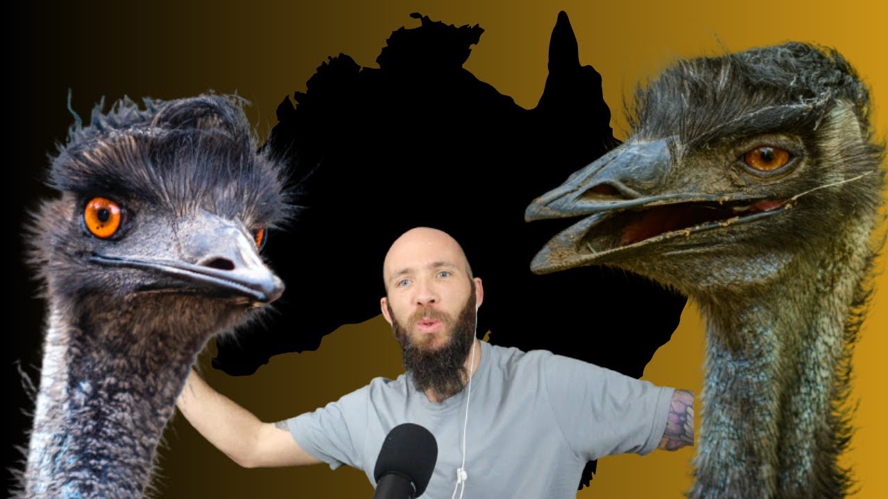South African Reacts To the GREAT Emu War - YouTube