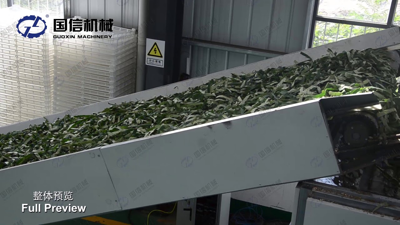 Lotus leaf drying machine - YouTube