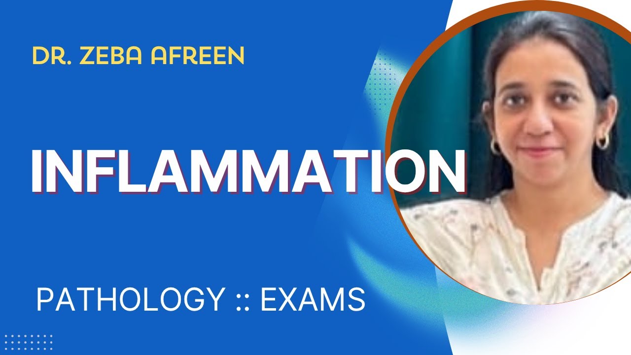 Pathology of Inflammation: Acute vs Chronic Explained: Vascular ...