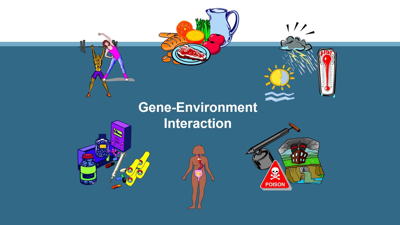 Gene diet Interaction - YouTube